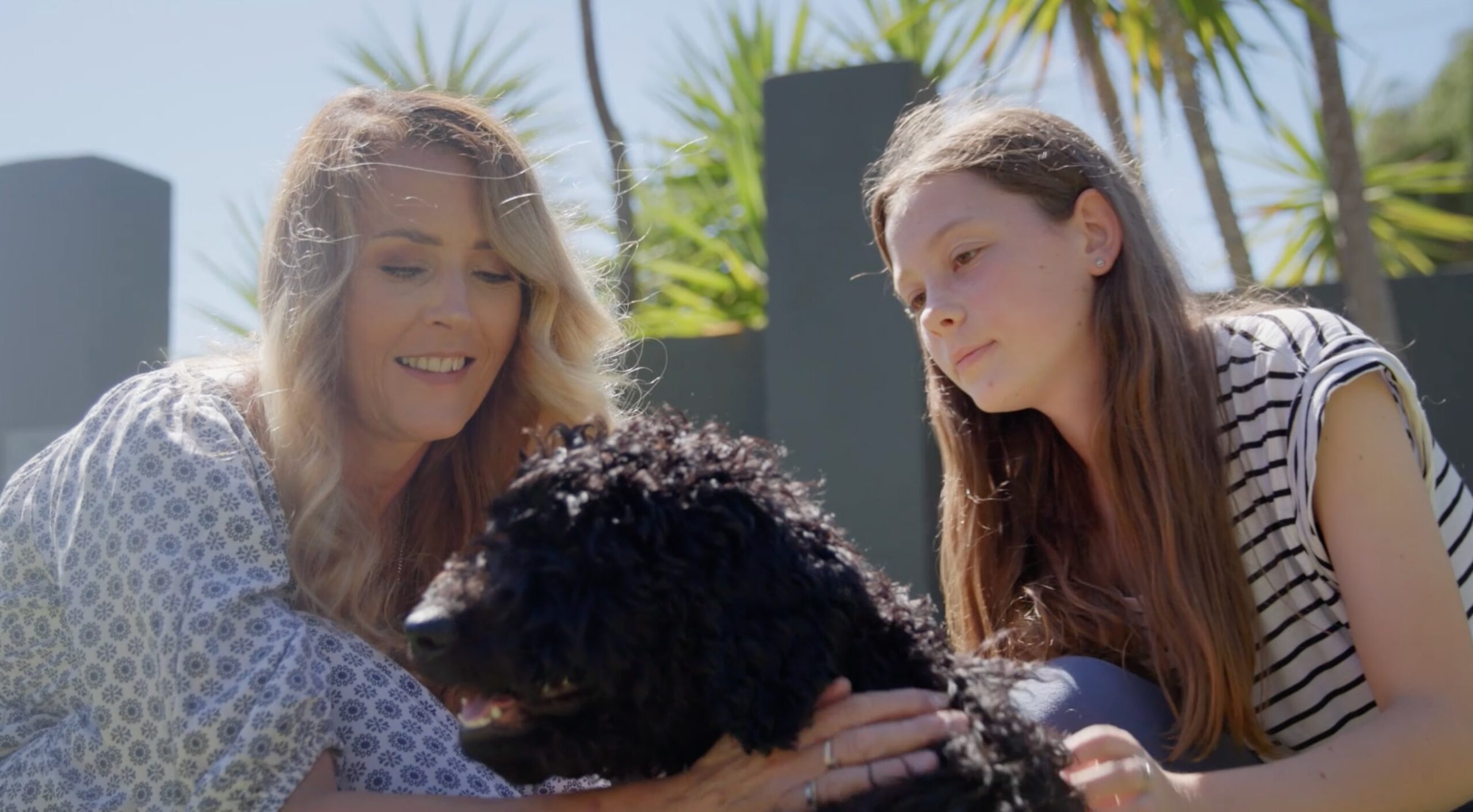 Tracey's Story | Client Testimonial | LHD Lawyers