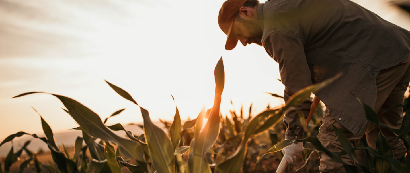 Farm Accident Lawyers | Farm Worker Compensation | LHD